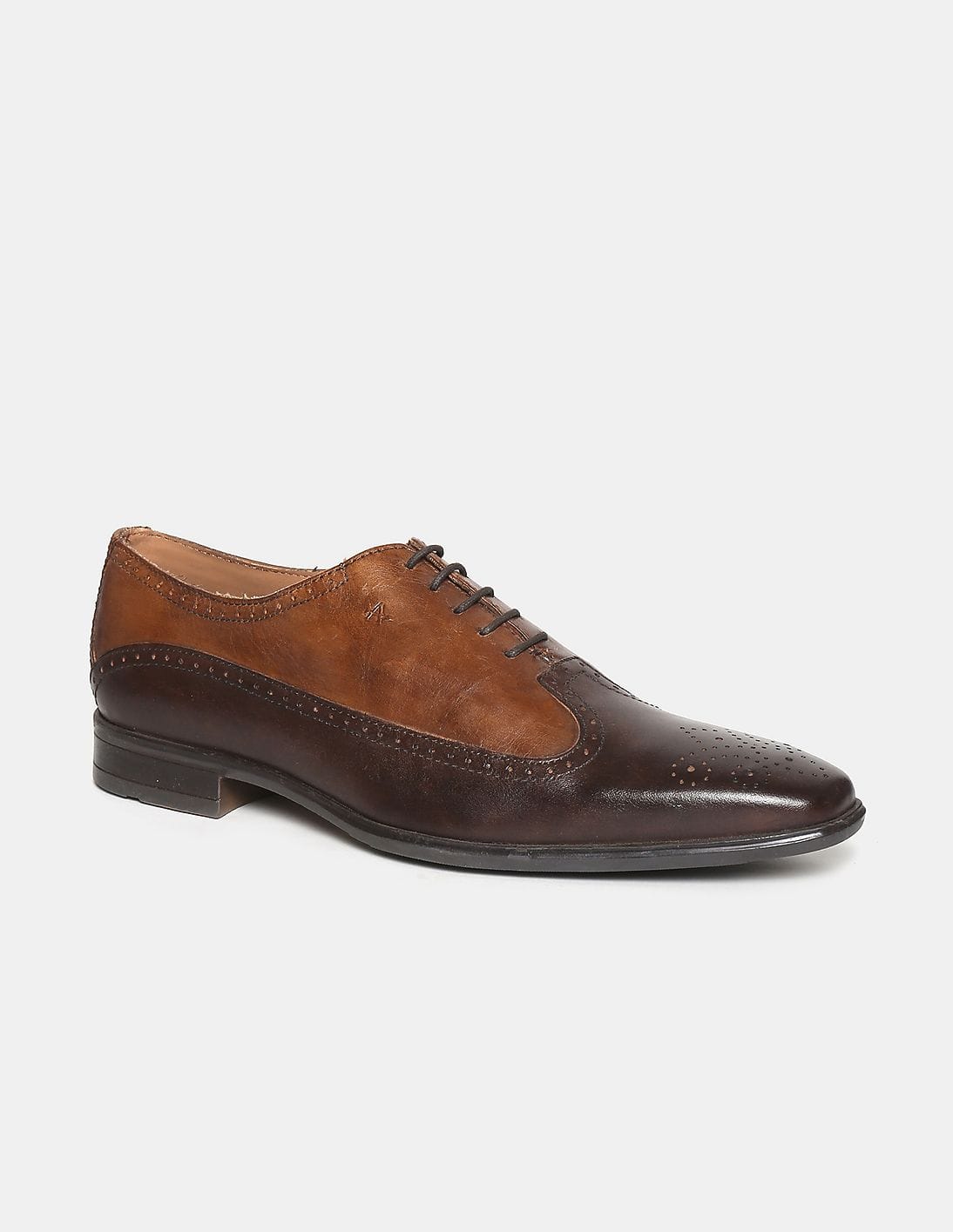 Buy Arrow Brogued Wingtip Denali Oxford Shoes - NNNOW.com
